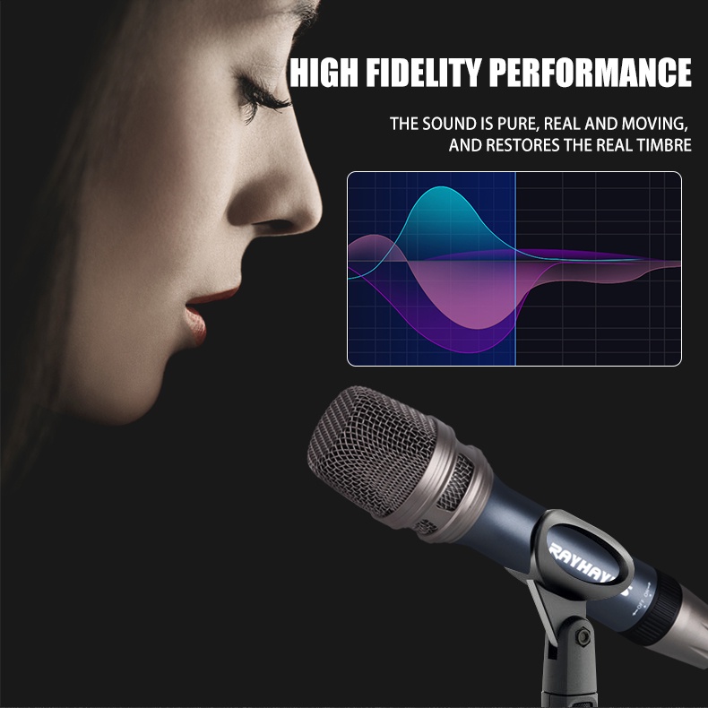 Rayhayes RD-1 Dynamic Microphone Professional Vocal Wired Microphone ...