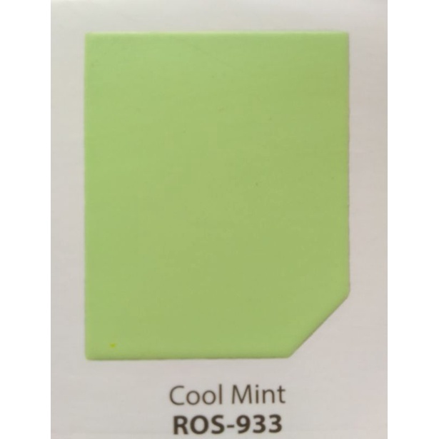 RAIN OR SHINE ELASTOMERIC WATERPROOFING PAINT 1 LITER (PART C) WALANG ...