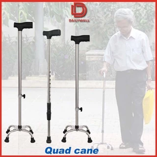 cane - Best Prices and Online Promos - Jan 2026 | Shopee Philippines