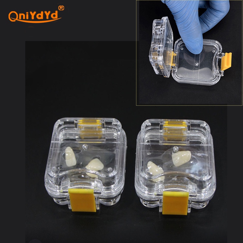 10pcs Dental Tooth Box With Film Inside Membrane Tooth Implant ...