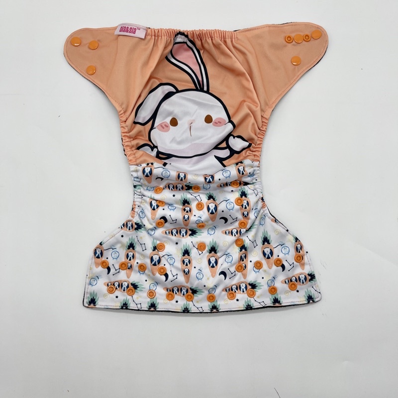 a Dia&Sia bamboo charcoal cloth diaper with bamboo charcoal inserts and ...