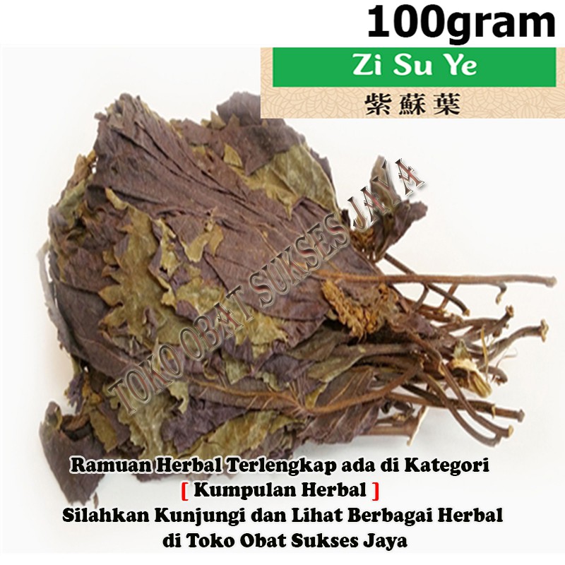 [100gram] Zi Su Ye Perilla Leaf/ - Perillae Folium | Shopee Philippines