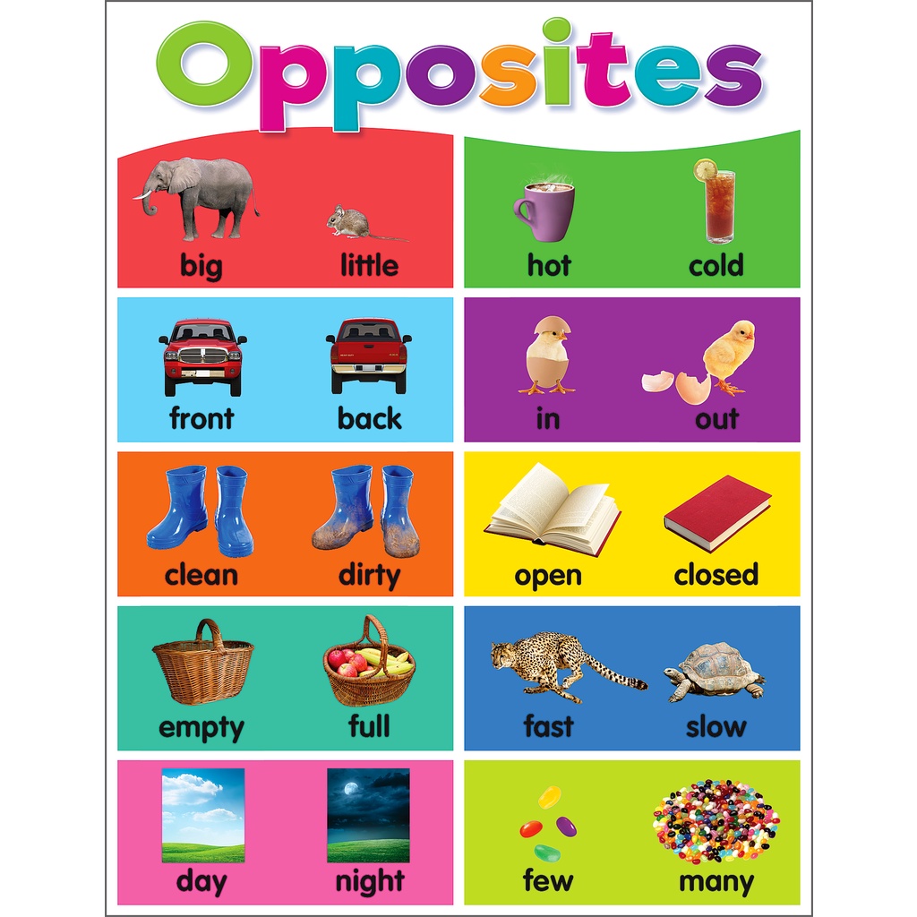 OPPOSITES POSTER, Educational Laminated Chart for kids | Shopee Philippines