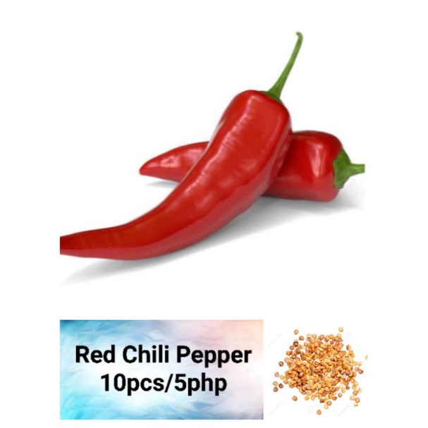 Red Chili Pepper Seeds (10pcs) | Shopee Philippines