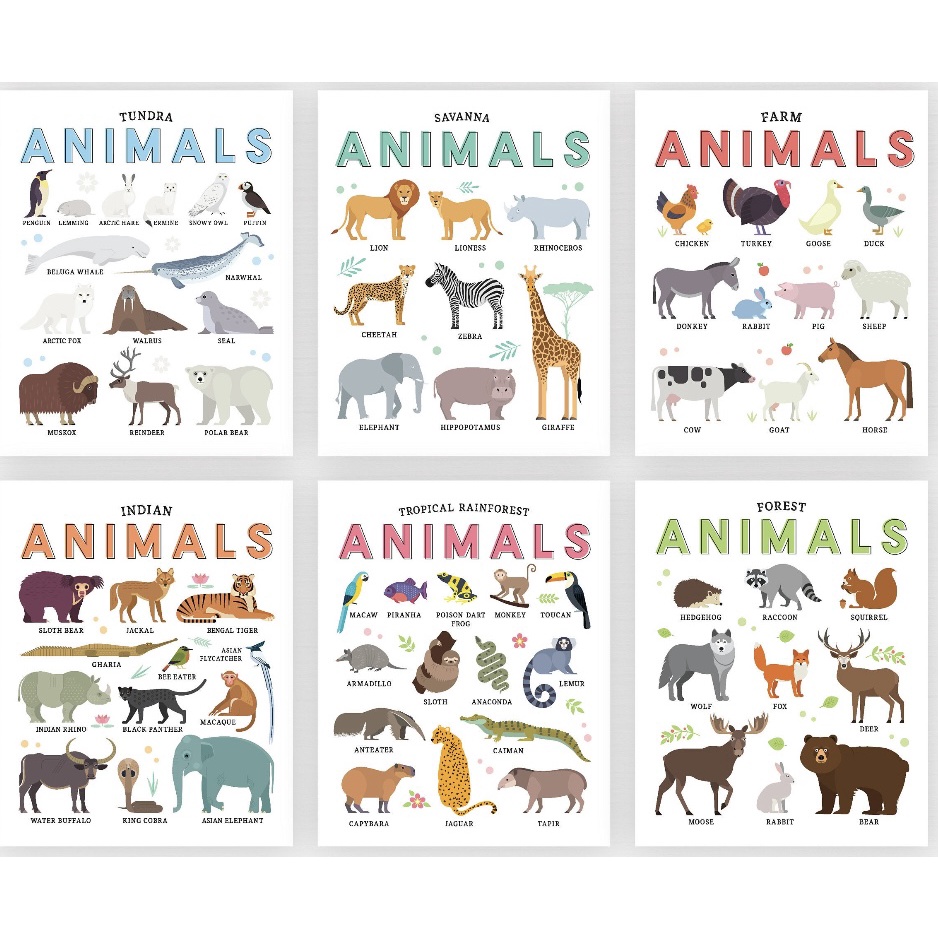 A4 Laminated Animal Educational Posters, Arctic Tropical Rainforest ...