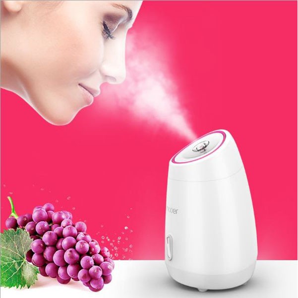 Maoer FRESH FRUIT FACIAL STEAMING MACHINE | Shopee Philippines