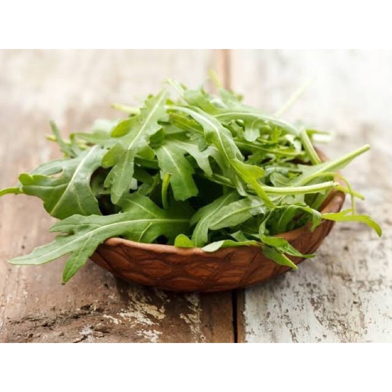 ARUGULA HERB SEEDS- 30Seeds | Shopee Philippines