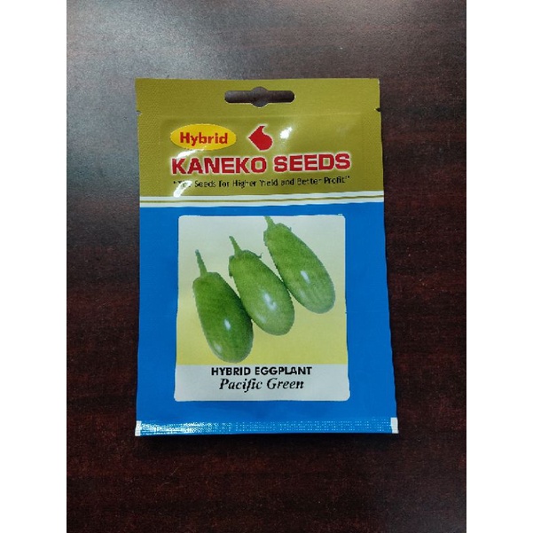 Pacific Green (1 gram) Hybrid Eggplant / Talong by Kaneko Seeds ...