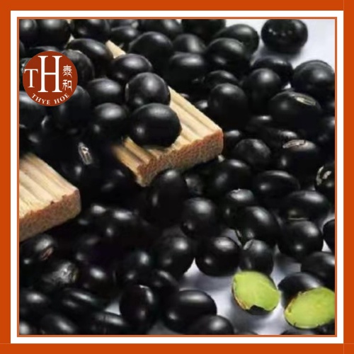 Organic Pearl Green Kernel Black Bean Organic Black Bean With Green ...