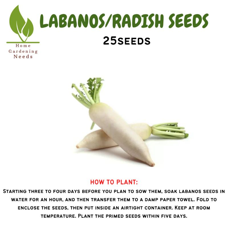 LABANOS/RADISH SEEDS (25pcs) | Shopee Philippines