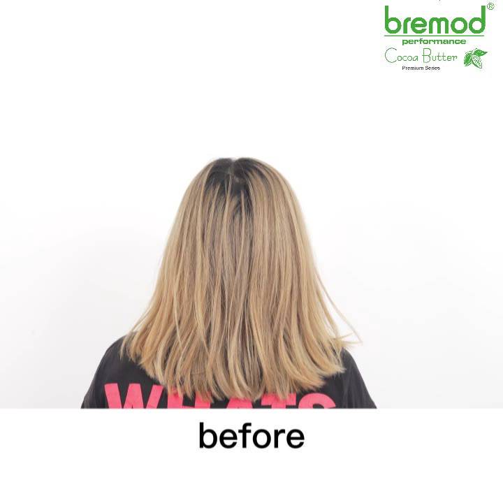Bremod Premium Purple Shampoo Lock and Stables Hair Color Colour for ...