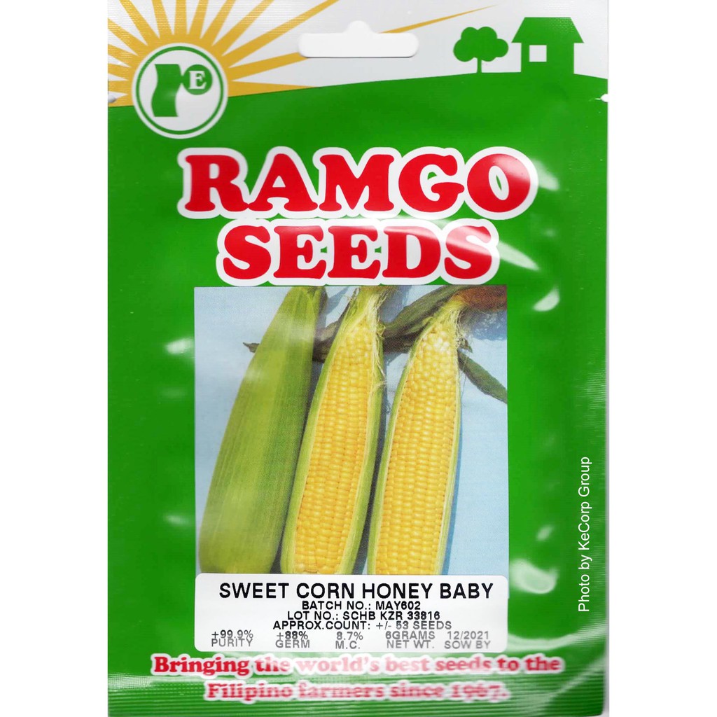 Ramgo Seeds - Pechay Pakchoi Eggplant Ampalaya Patola Upo Sitao Okra ...