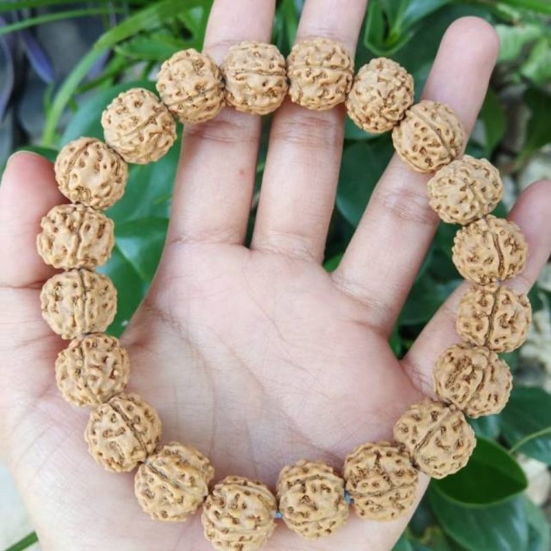 Original jenitri rudraksha bracelet rudraksha | Shopee Philippines