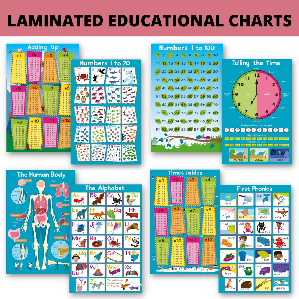 Laminated First Words, First Phonics, Alphabet, Adding Up, Human Body ...
