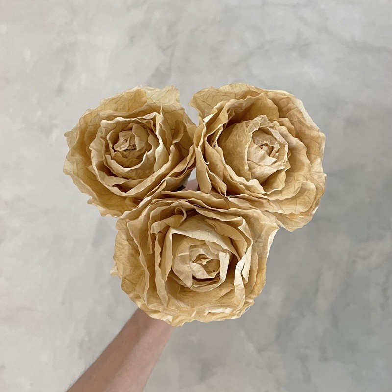 Fossilized/Dried Rose Flower (3 stems) | Shopee Philippines