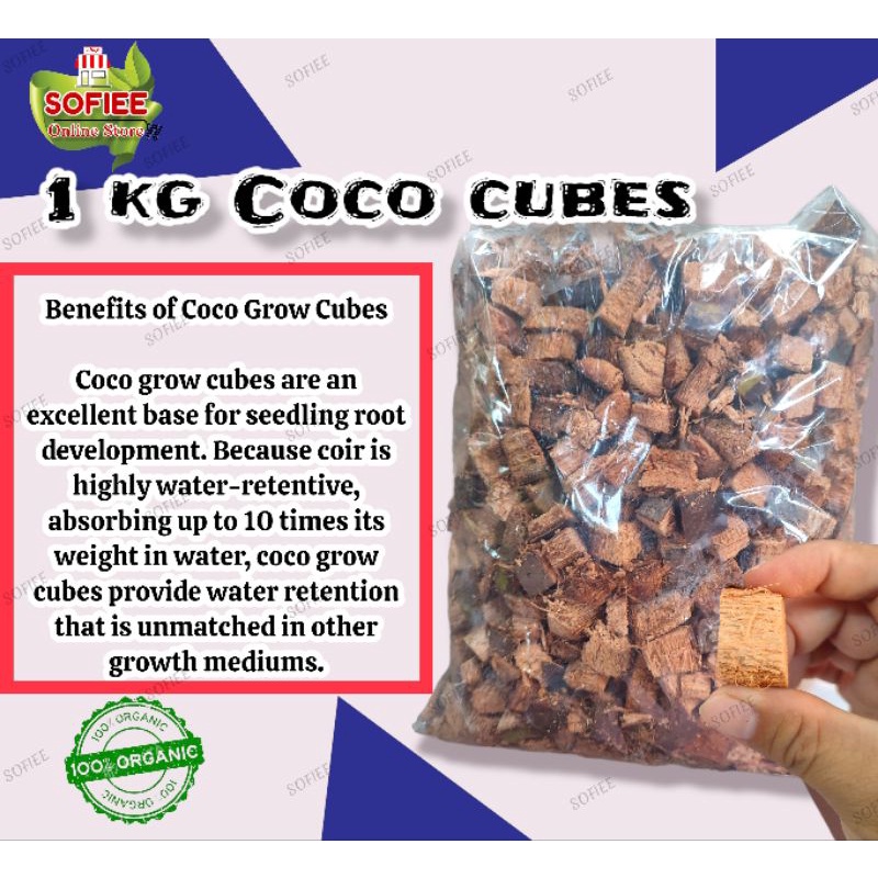 1 kg Coco cubes / Husk chop / Gardening / coconut husk cubes / planting ...
