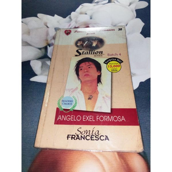 STALLION BROKEN SERIES Collab by SONIA FRANCESCA and SOFIA BOOKS ...