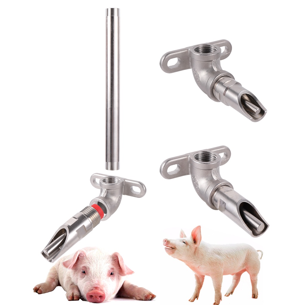 Piglet Automatic drinker Kit Stainless Steel Pig Drinker 1/2" Threaded ...