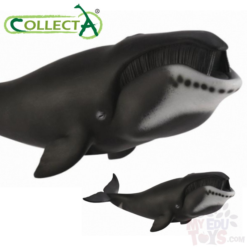 Bowhead Whale - 88652 CollectA Sea Life Animal Toys Ocean Sea Life ...