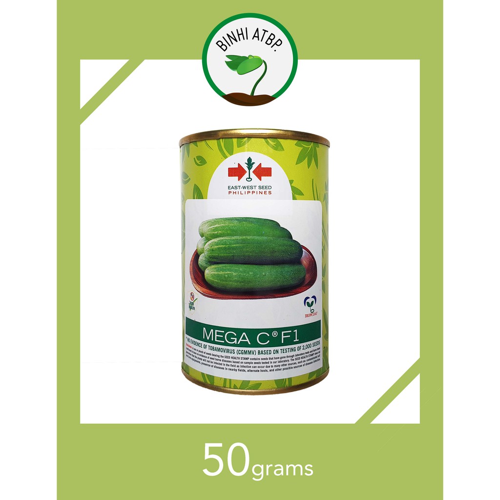 East-west Mega C F1 Cucumber (Pipino) Seeds (50g) | Shopee Philippines