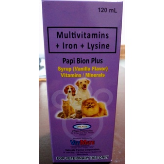 PAPI BION PLUS (Multivitamins+Iron+Lysine) 120ml | Shopee Philippines