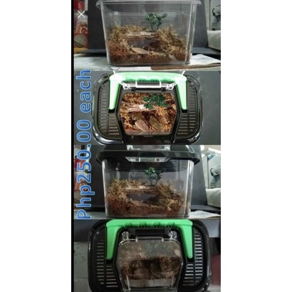Critter Keeper Enclosure | Shopee Philippines