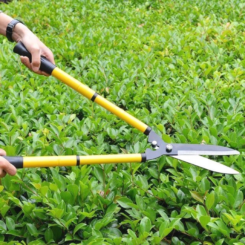 Adjustable Gardening Pruning Shear Pruner Snip Grass Cutter Tree ...