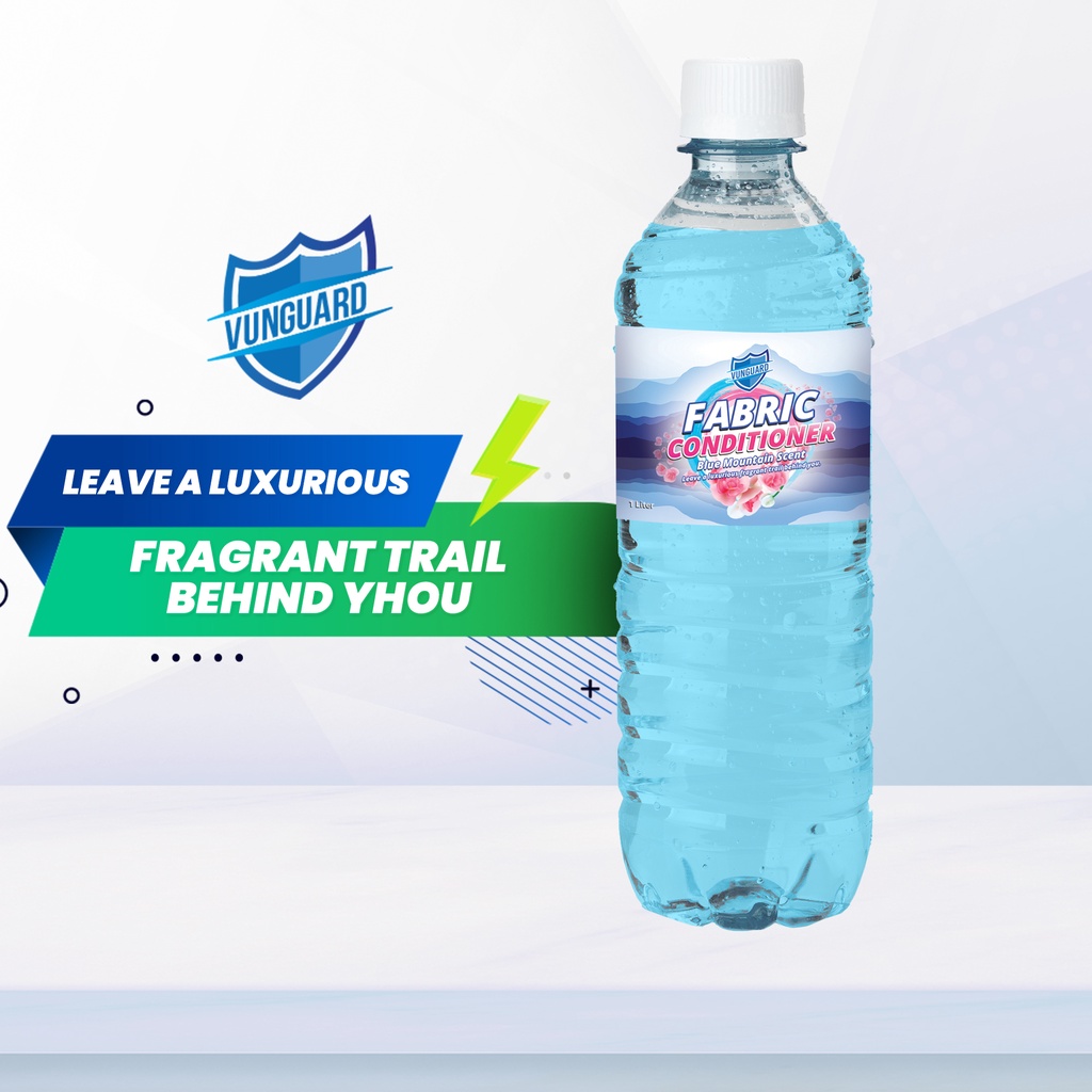 BUY 1 TAKE 1 VUNGUARD BLUE MOUNTAIN FABRIC CONDITIONER AND SOFTENER 1 ...