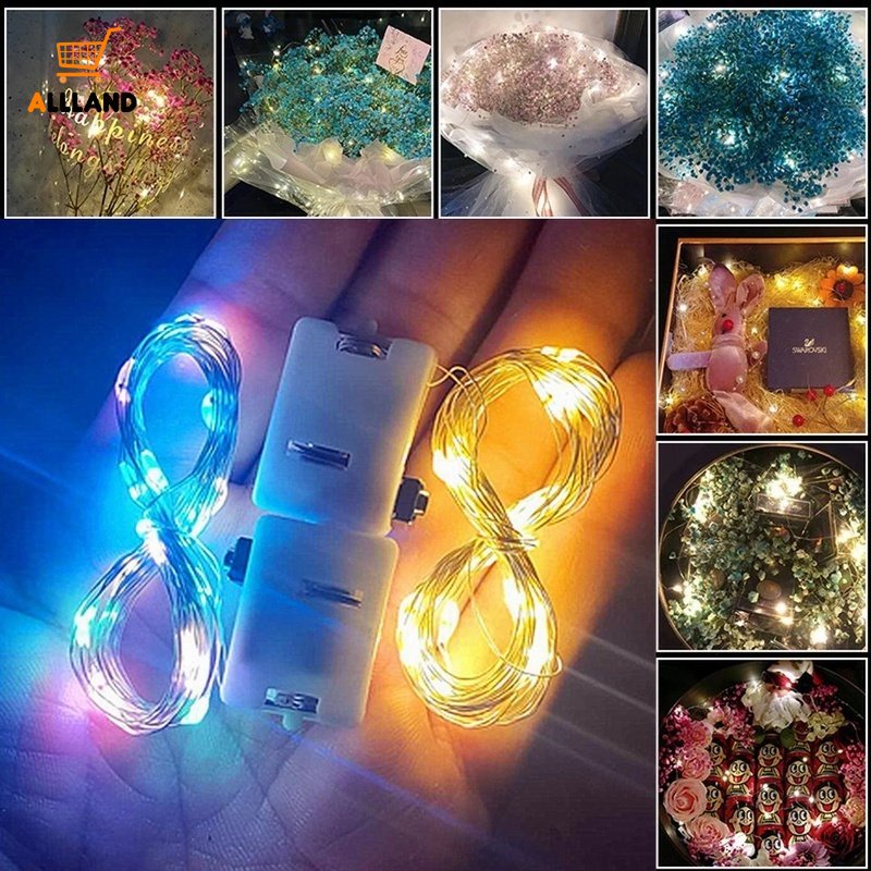 1/2M LED Copper Wire String Lights/ Mini Decorative Fairy Lights ...