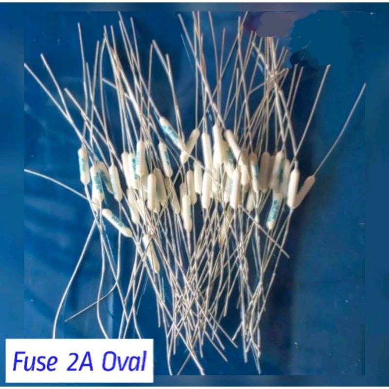 ELECTRIC FAN FUSE 2A 10pcs. | Shopee Philippines