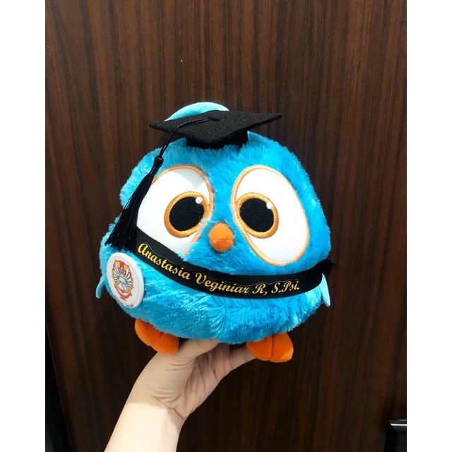 Angry Bird Graduation Doll | Shopee Philippines
