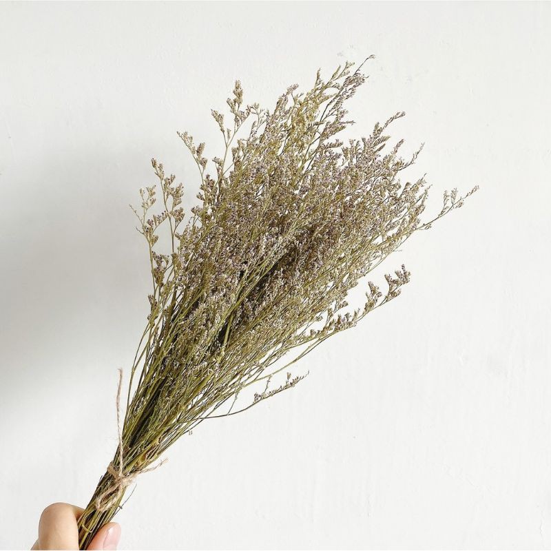 Dried Misty Flower (Medium bunch) Real Decor Gift Wedding Party Home ...