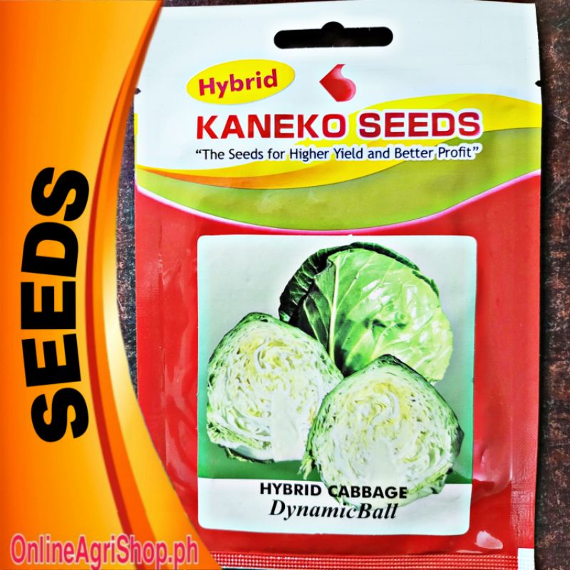 DYNAMIC BALL F1 HYBRID CABBAGE SEEDS (10g OR APPROX. 1974 SEEDS) KANEKO ...