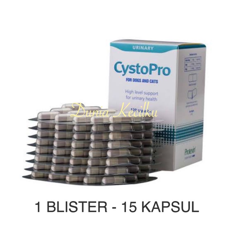Cystopro Protexin Urinary Health Struvit/FUS/FLUTD Cat Dog (1 BLISTER ...
