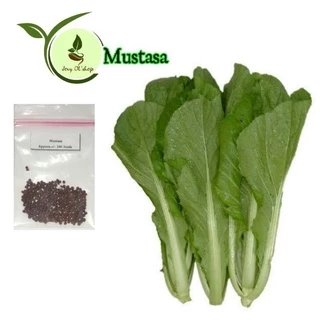 mustasa seeds - Best Prices and Online Promos - Jul 2024 | Shopee ...