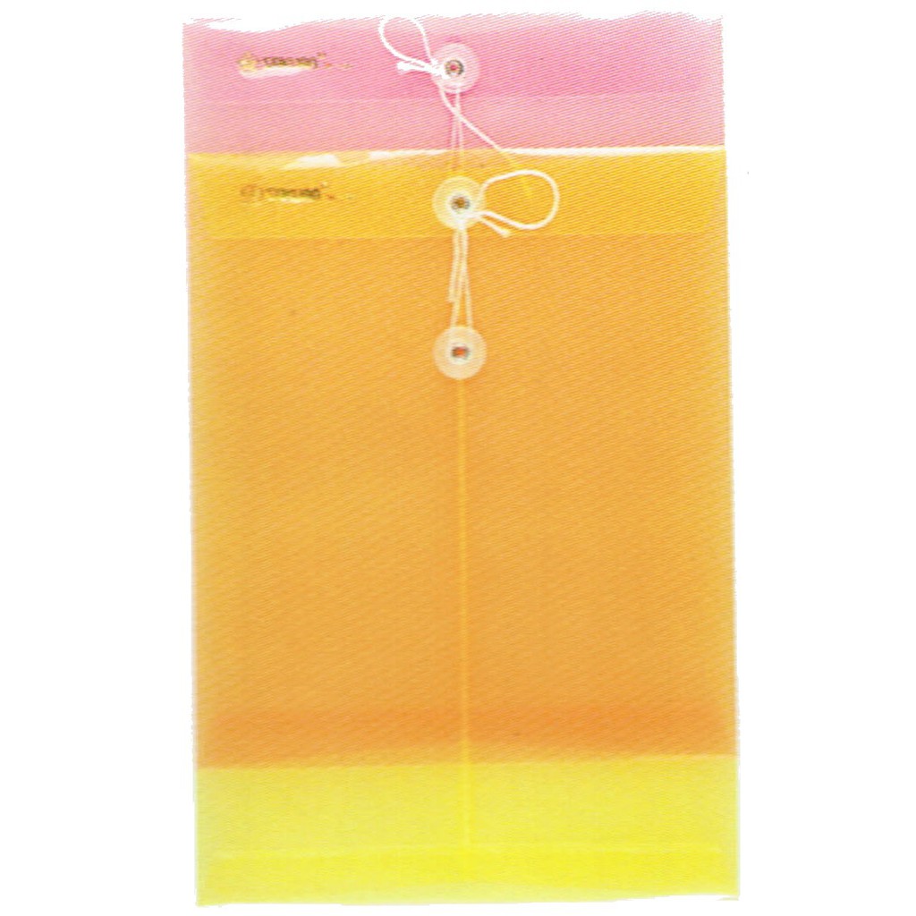 SAKURA Clear Envelope bag, Non-Expandable, String Closure, Vertical ...