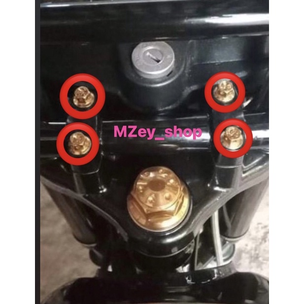 GOLD/SILVER. TMX/RUSI butterfly bolt set(4pcs) | Shopee Philippines