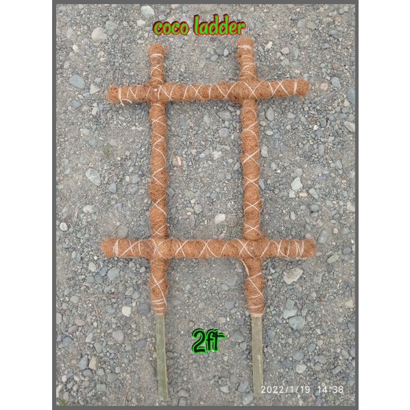 coco ladder for plants/Coco ladder/Coco pole/trellis/trellis for plants ...