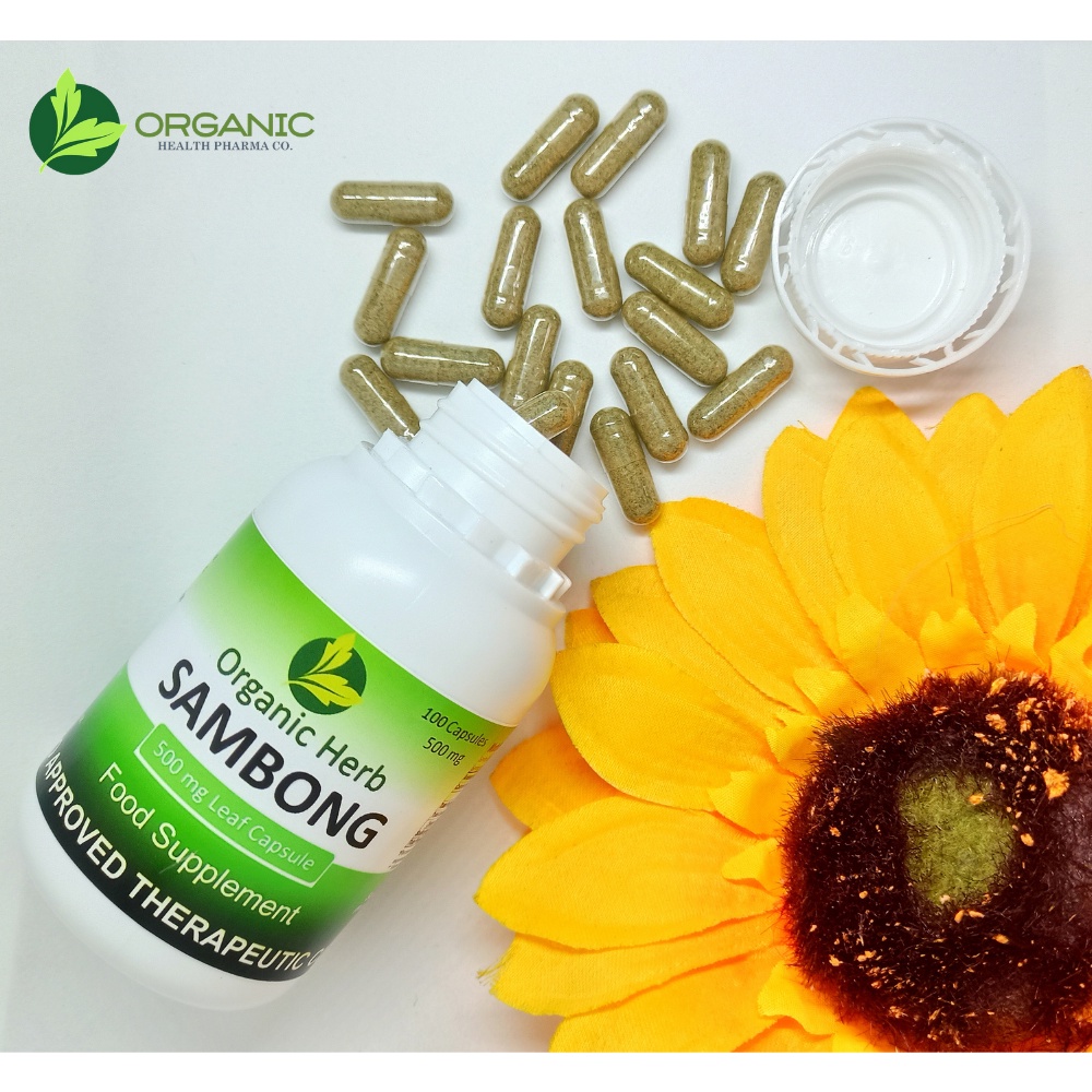 Sambong 500mg 100 Capsules | Shopee Philippines