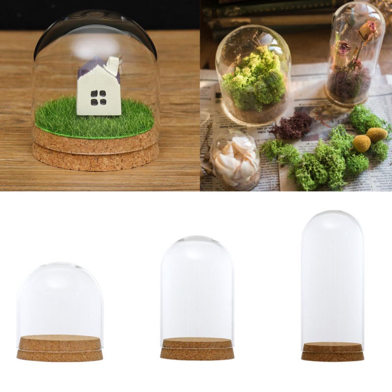 1Pc Clear Glass Dome With Wood Cork Base Bell Jar Cover Figurines ...