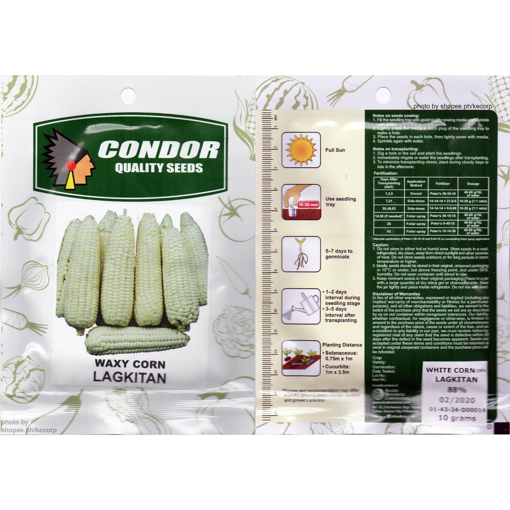 Ramgo or Condor White, Sweet, Purple, BiColor, Hybrid Corn Sold per ...