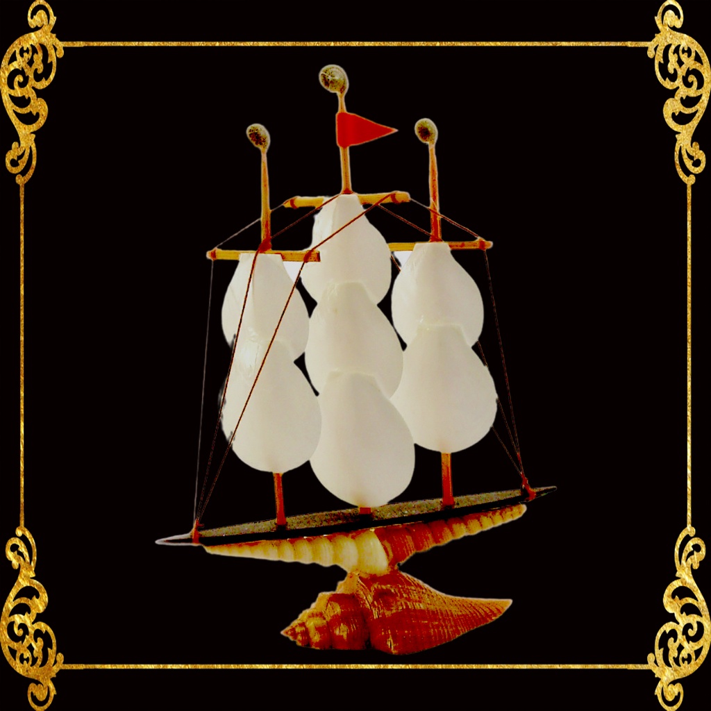 Seashell Boat | Melo Shell and Moon Scallop | Shopee Philippines