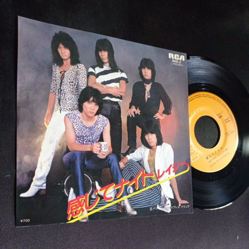 7-Inch Vinyl Record Artist Group Popular Past Rock Music Can Try ...
