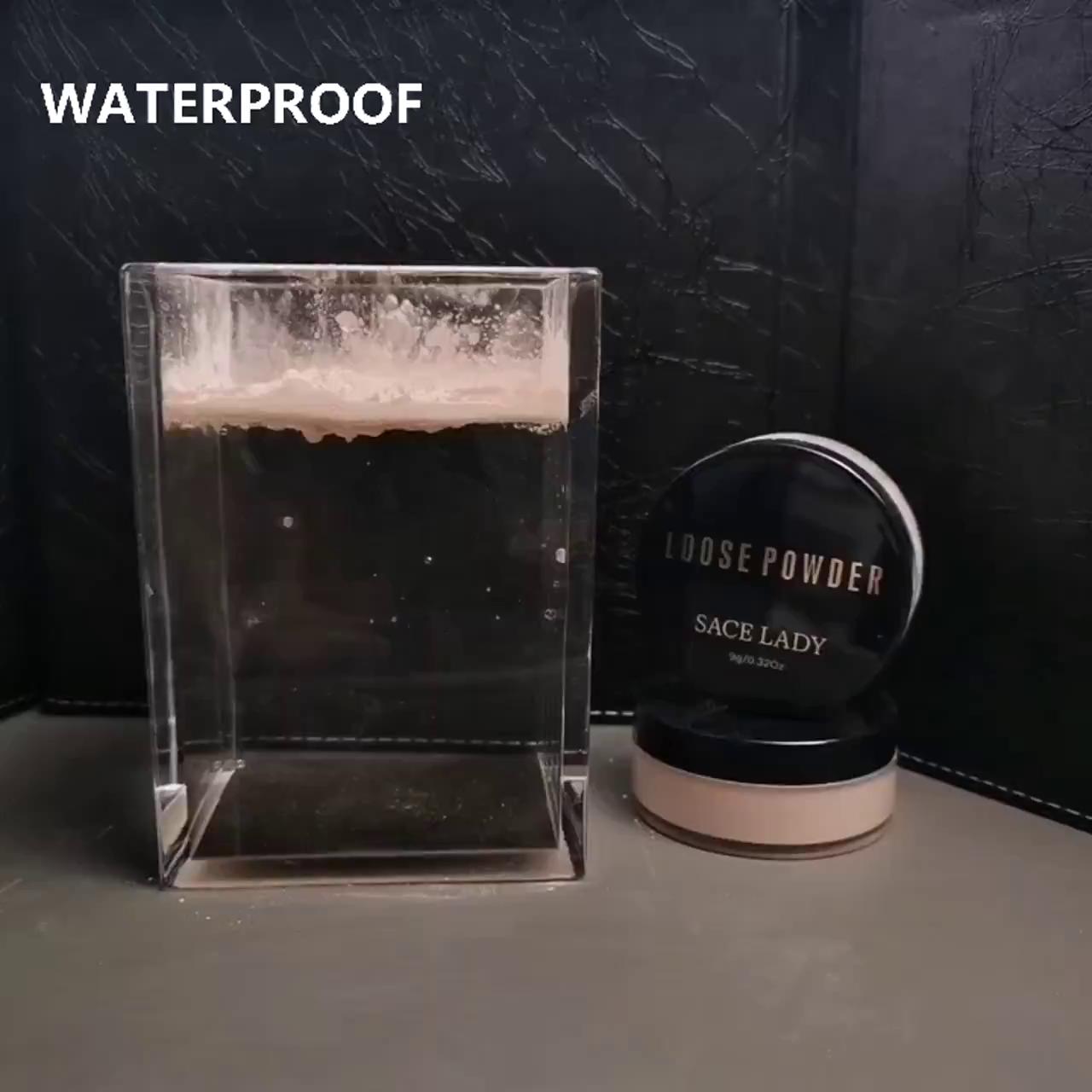 SACE LADY Face Powder Matte Finish Oil-Control Long-lasting Smooth 3 ...