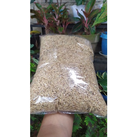 Ricehull|ipa|sariwang ipa|rice hulls DRY /compost (COD) | Shopee ...