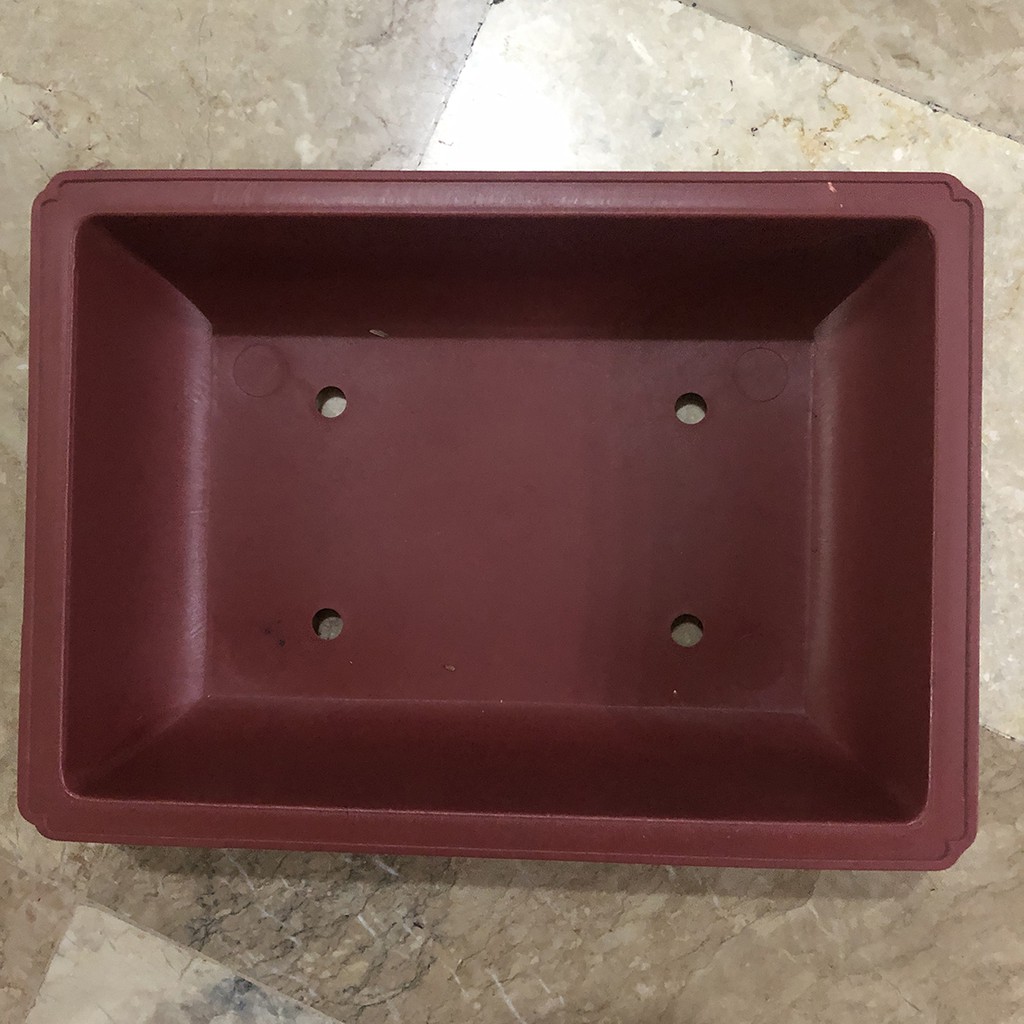 rectangular shallow bonsai dish plastic pot 11.5 x 8.5 x 3 inch ...