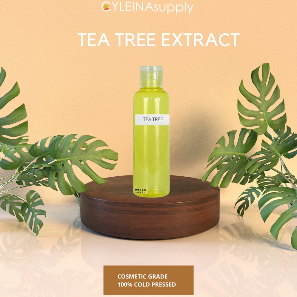 Cold Pressed Tea Tree Extract and Essential oil | Shopee Philippines
