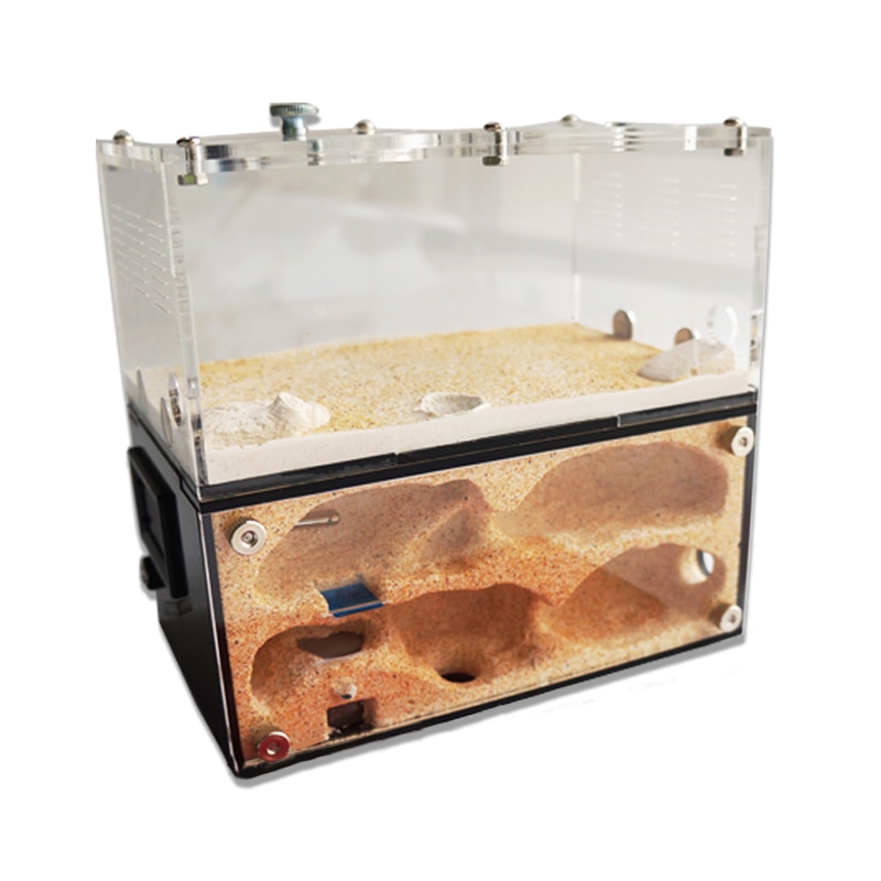 Acrylic Ant Farm Spliceable Ant Nest with Intelligent Temperature ...