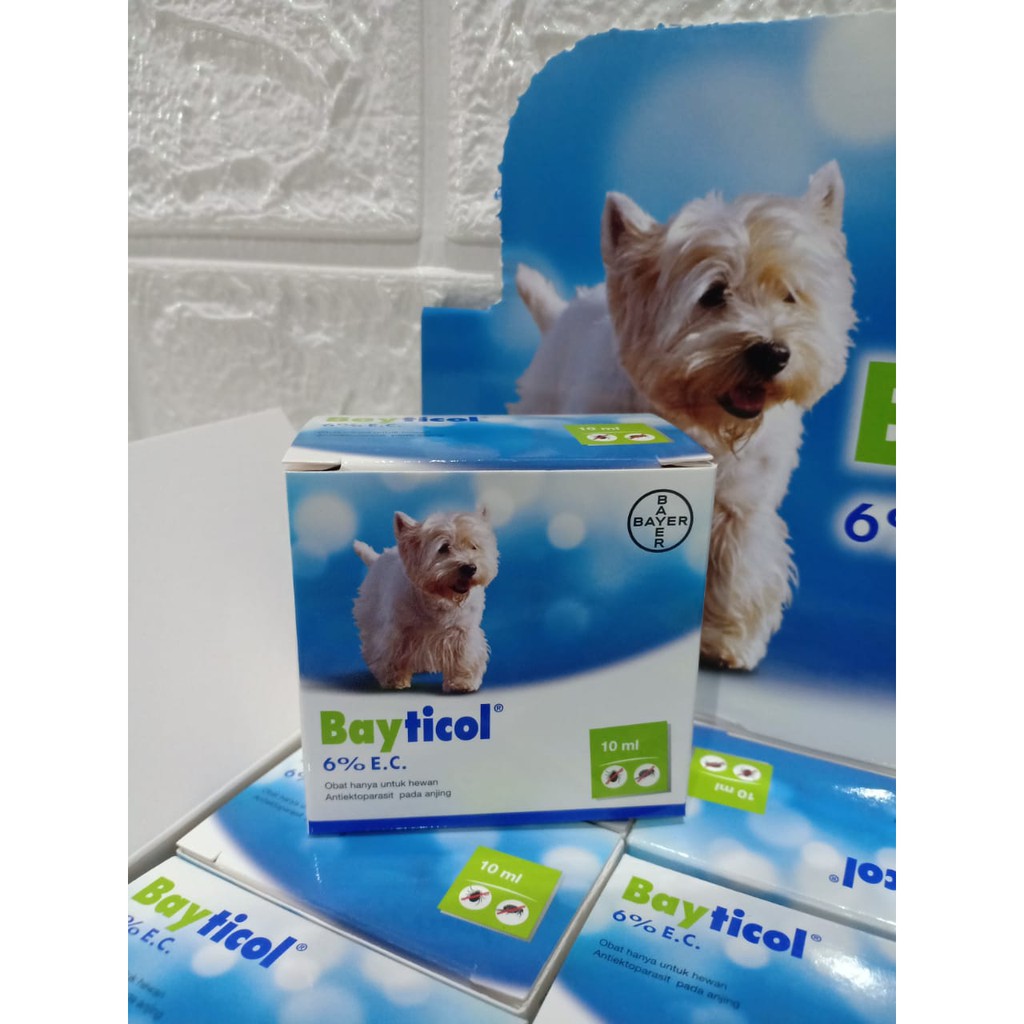 Bayticol 10ml Antiectoparasite In Dogs And The Environment BAYER ...