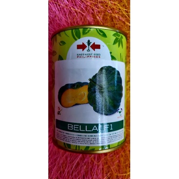 SQUASH HYBRID/ PUMPKIN SEEDS BELLA F1 450 seeds VEGETABLE SEEDS EAST ...